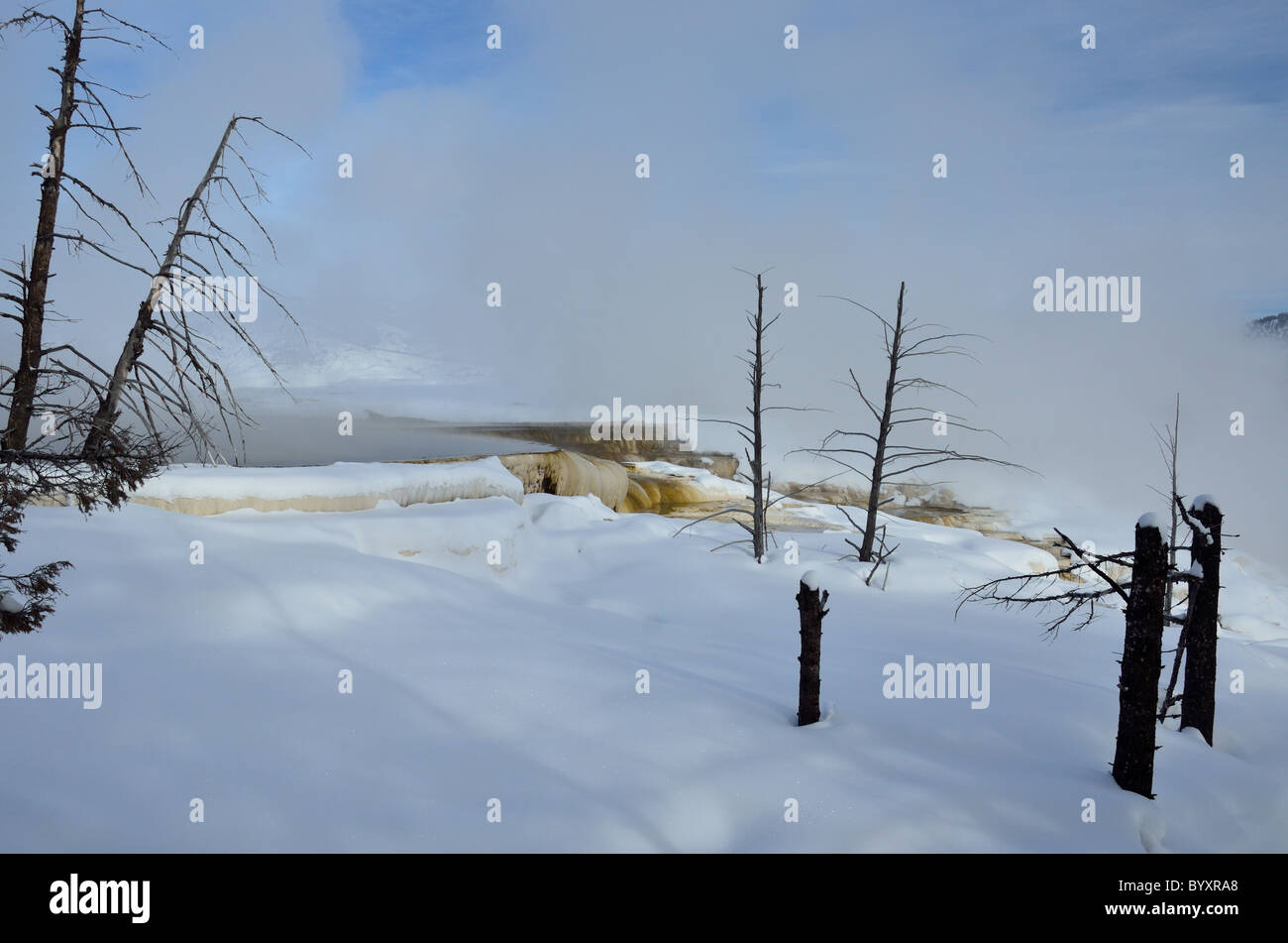 Steam rising from travertine pool. Mammoth Hot Springs, Yellowstone ...