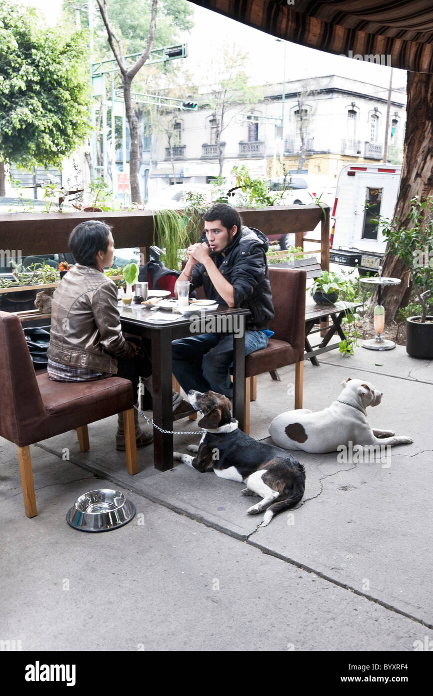 Mexican couple with two dogs having quiet lunch outdoors at upscale ...