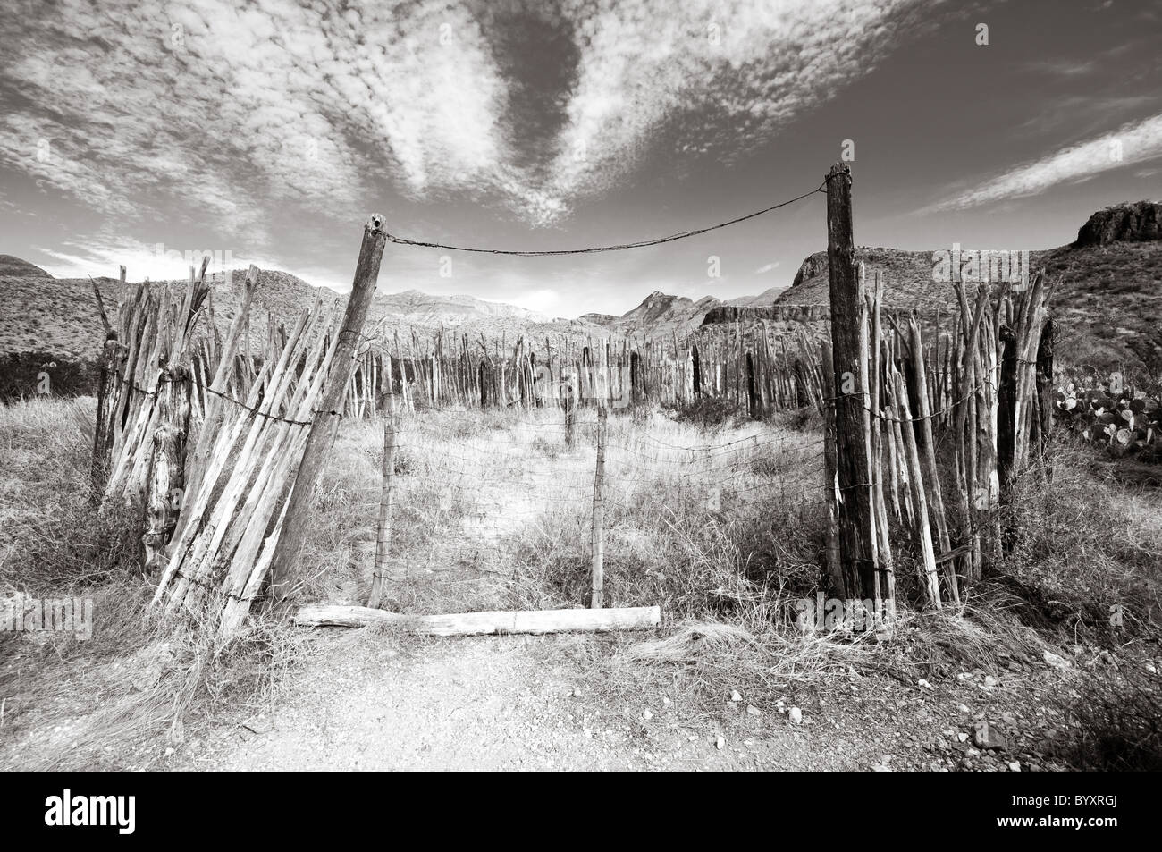 ruins of corral, Homer Wilson's Ranch, Big Bend National Park, Texas ...