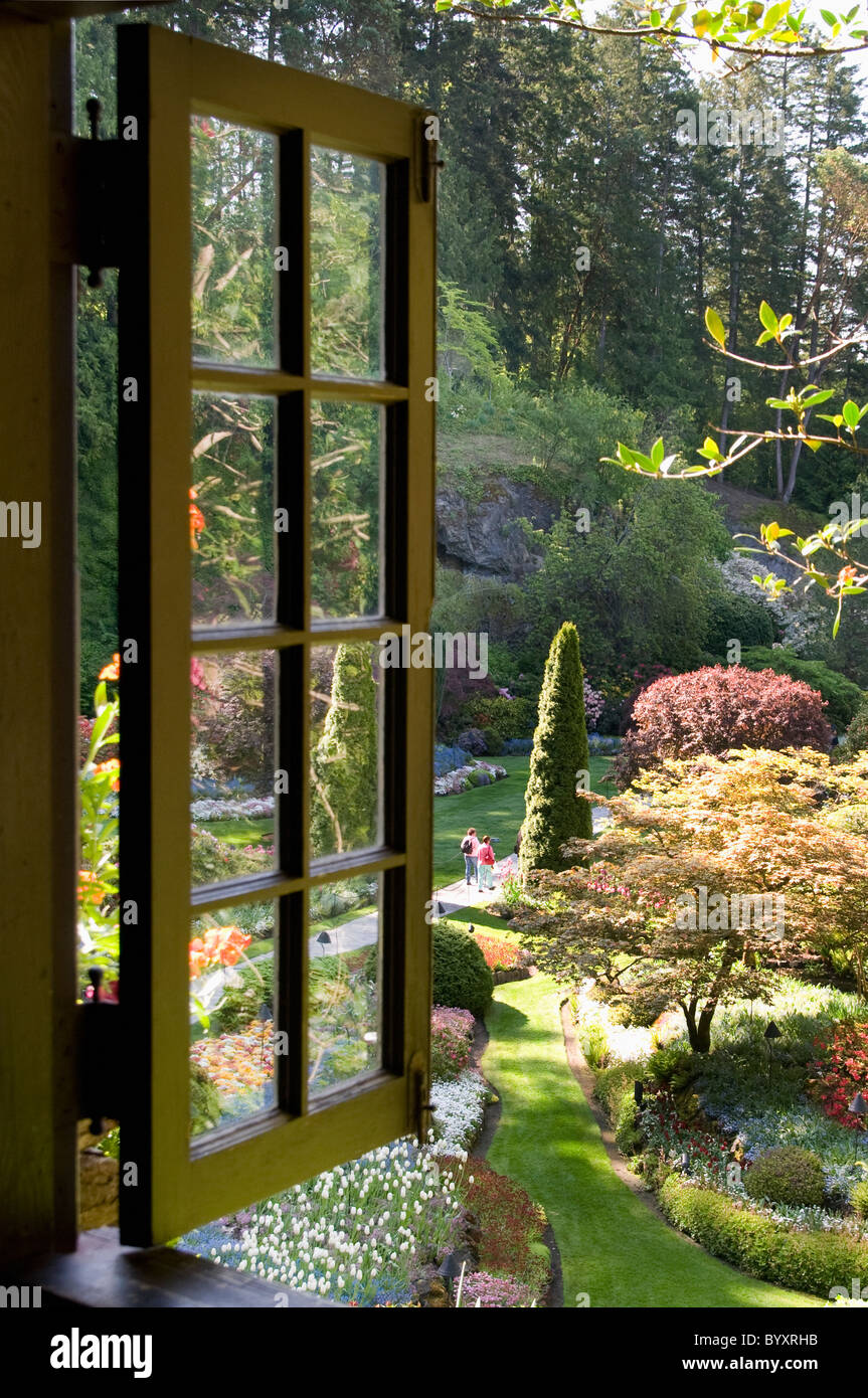 an open window overlooking a lush garden; victoria, british columbia ...