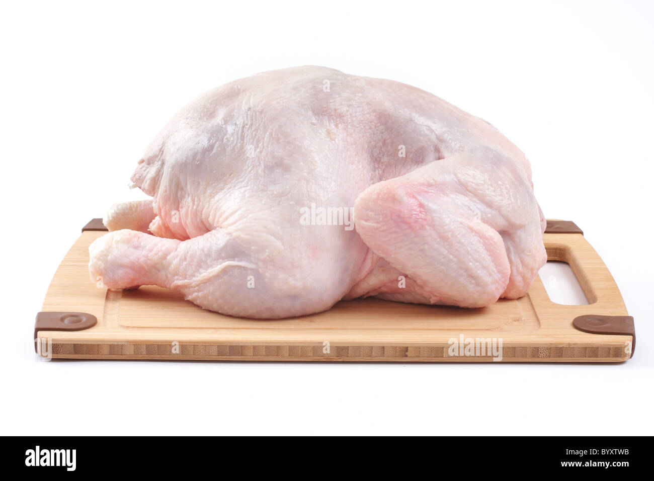 chicken on a white background Stock Photo - Alamy