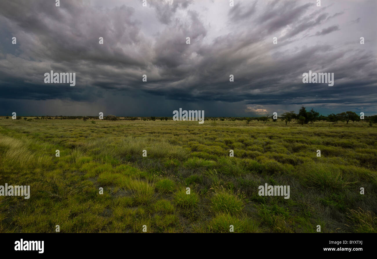 Tropical thunderstorm in the Northern outback of Australia Stock Photo ...