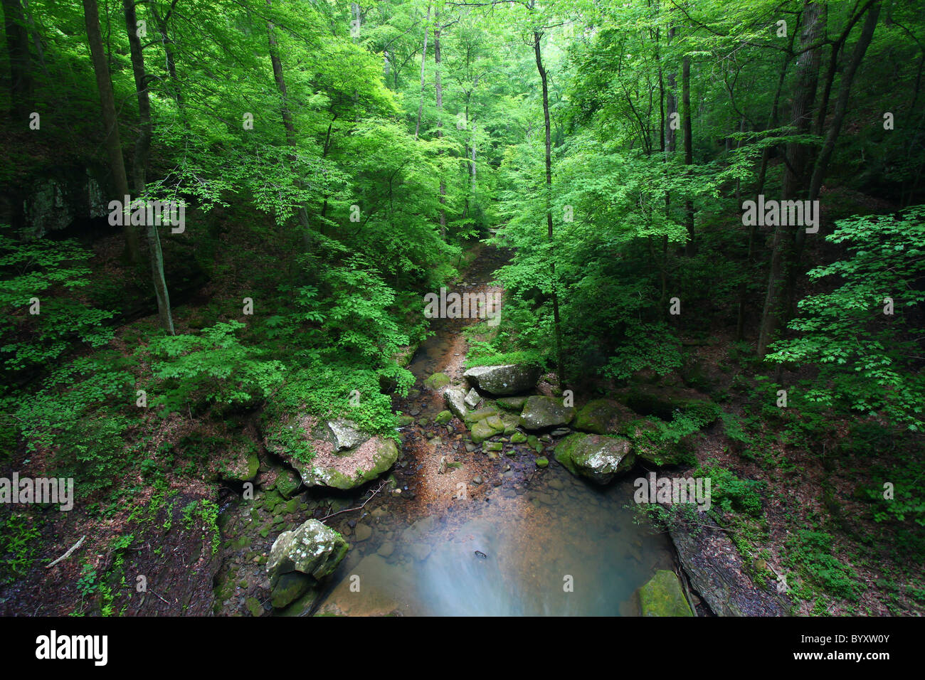 Alabama river water hi-res stock photography and images - Alamy