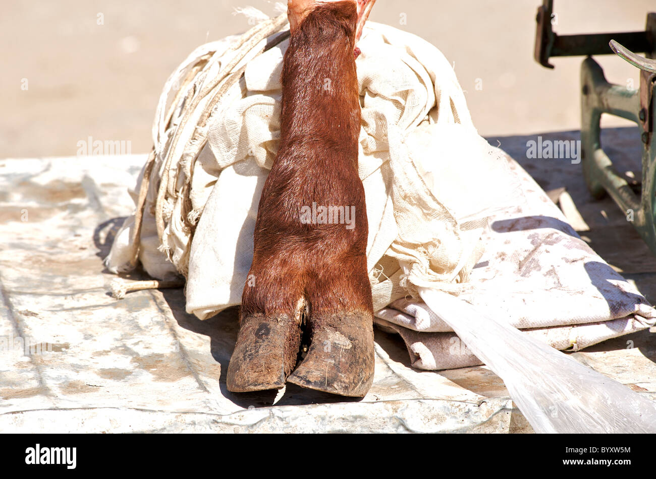 Goat or cow hoof on a market stall, Khiva, Uzbekistan Stock Photo - Alamy