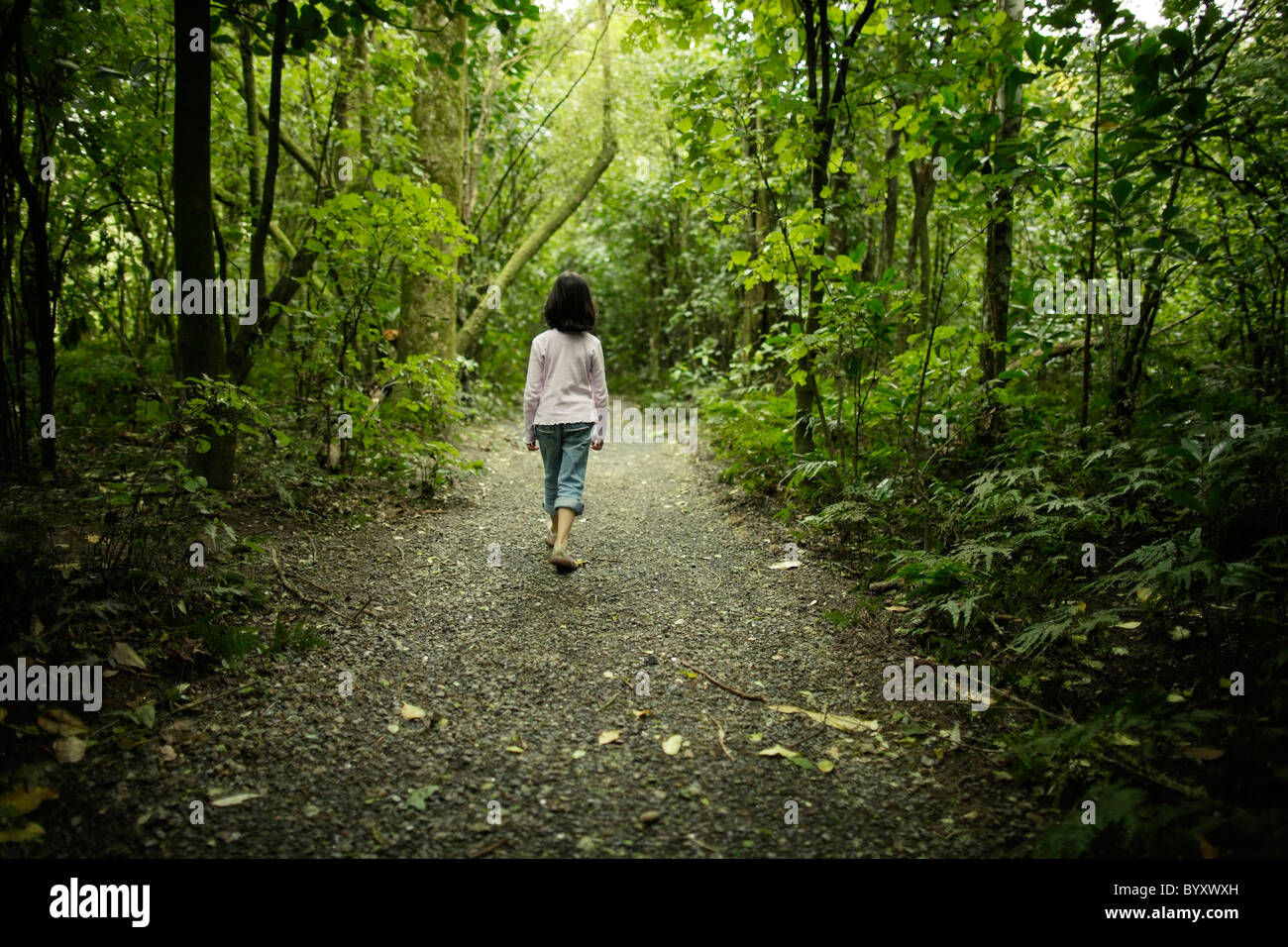 Girl walks along woodland path, New Zealand Stock Photo - Alamy
