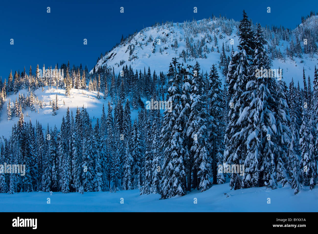 Mount Rainier National Park becomes a winter wonderland in winter, with ...