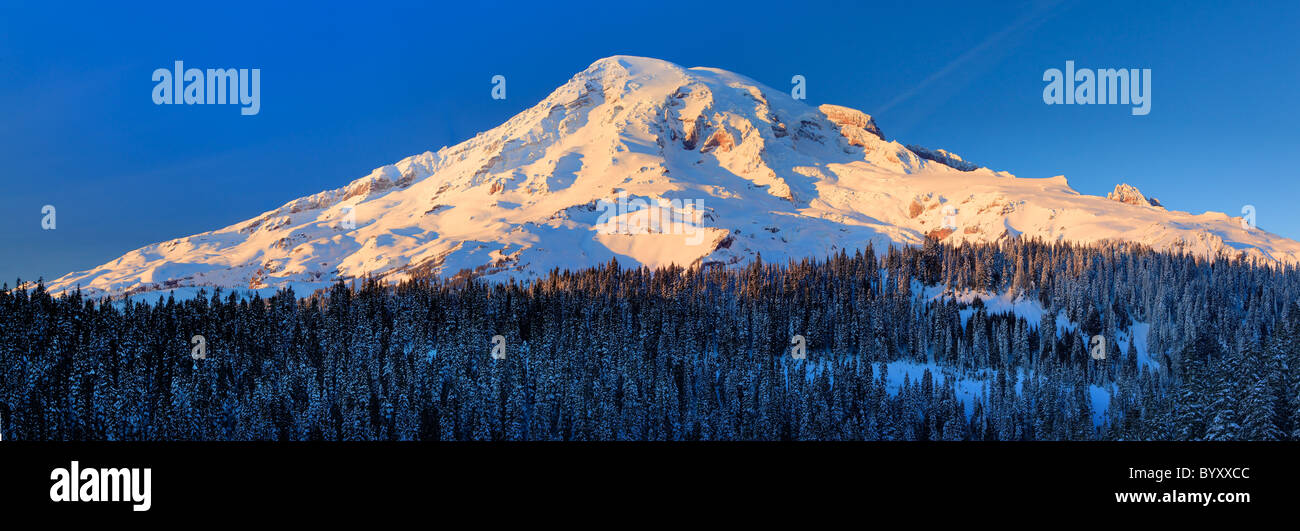 Panoramic view of the south face of Mount Rainier at sunset in the ...