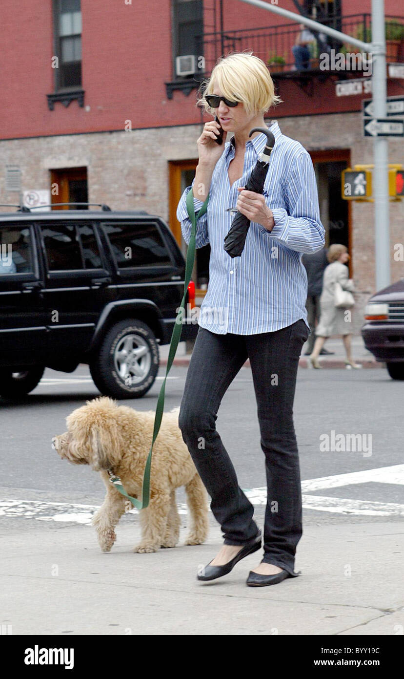 Actress Ellen Barkin walks her dog on White Street and Avenue of ...