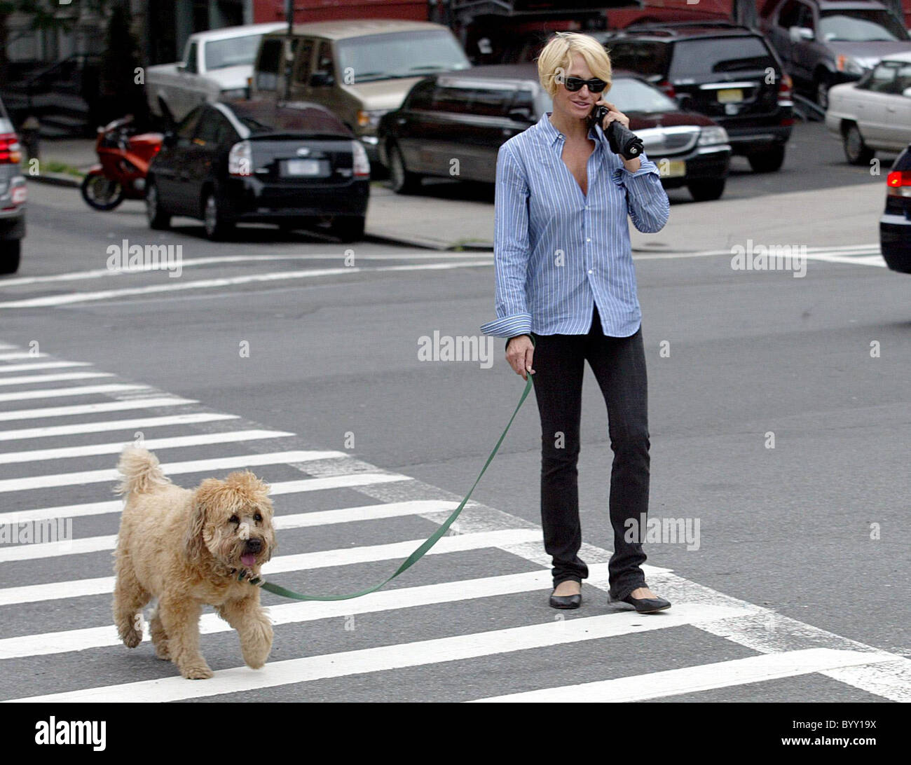 Actress ellen barkin walks dog hi-res stock photography and images - Alamy