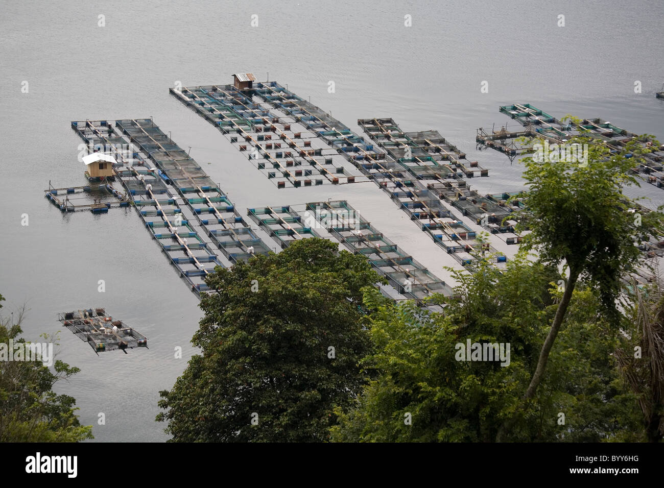 Indonesia Sumatra Lake Toba Prapat Fish farm Stock Photo - Alamy