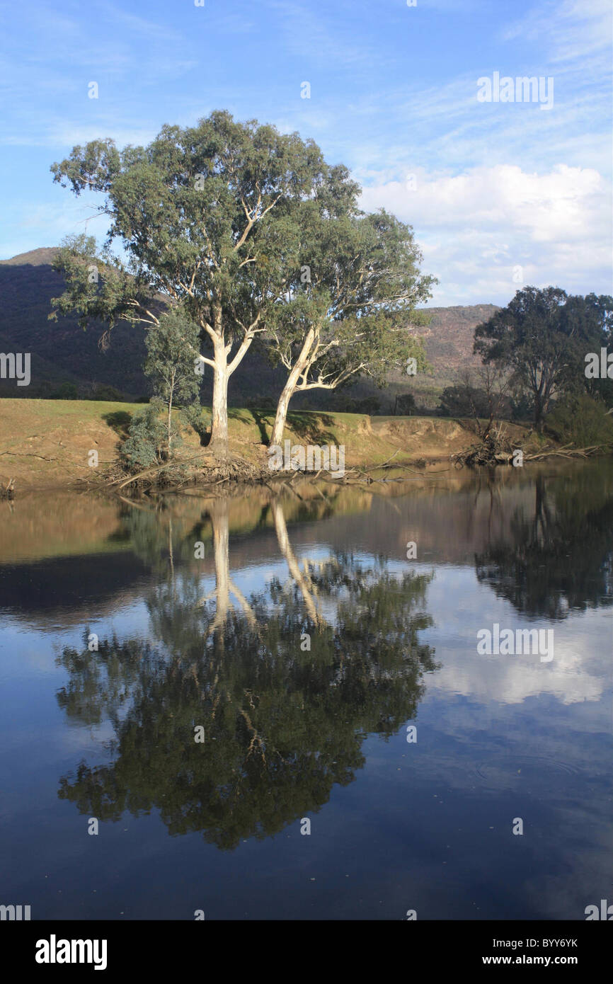 Reflections on the Murray river Stock Photo - Alamy
