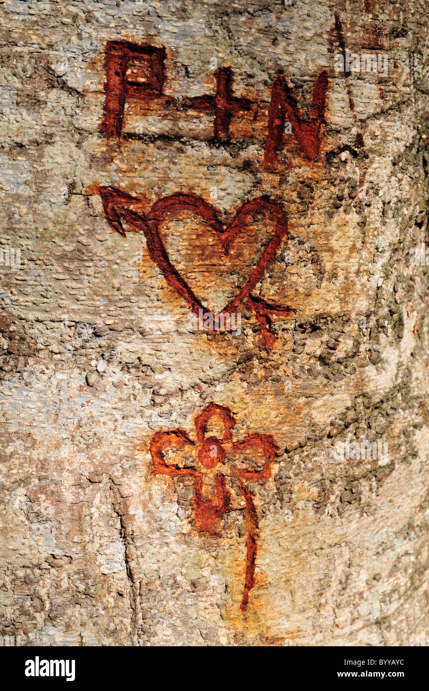 Heart n tree hi-res stock photography and images - Alamy