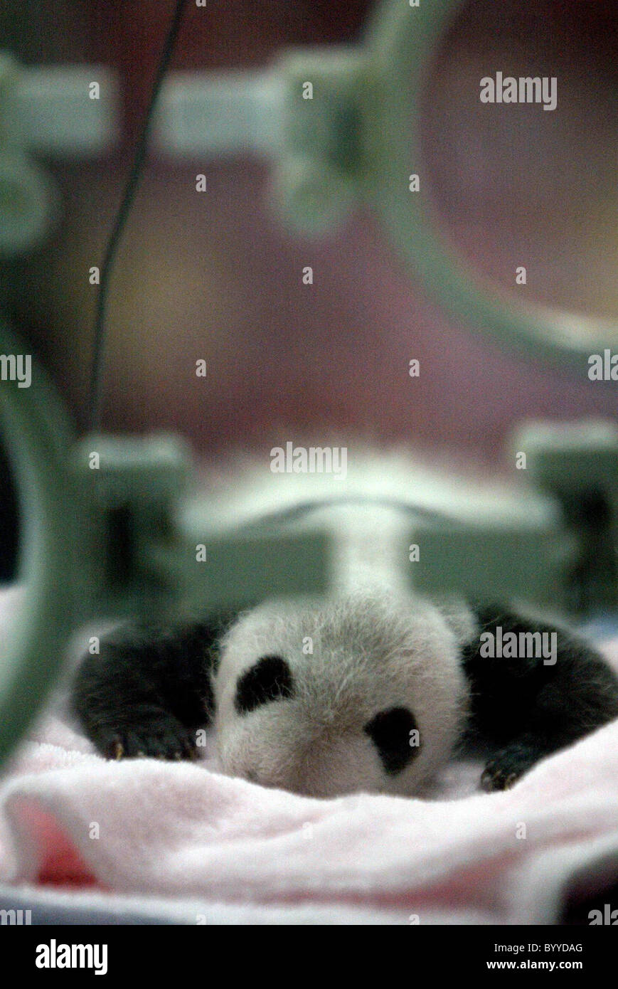 * s* The earthquake that has devastated parts of south-west China ...