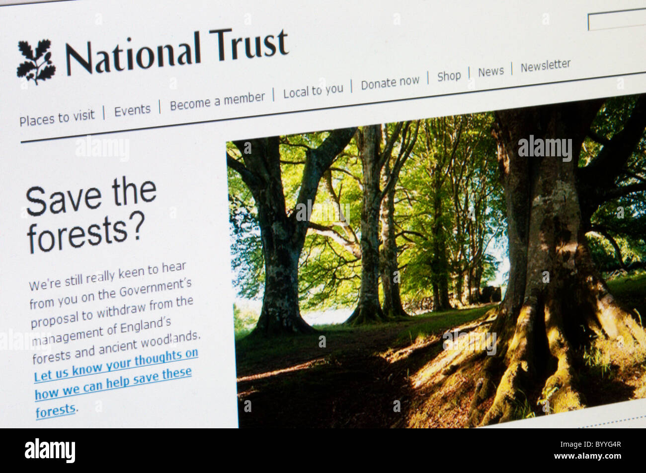 National Trust website asks "Save the forests?" commenting on the ...