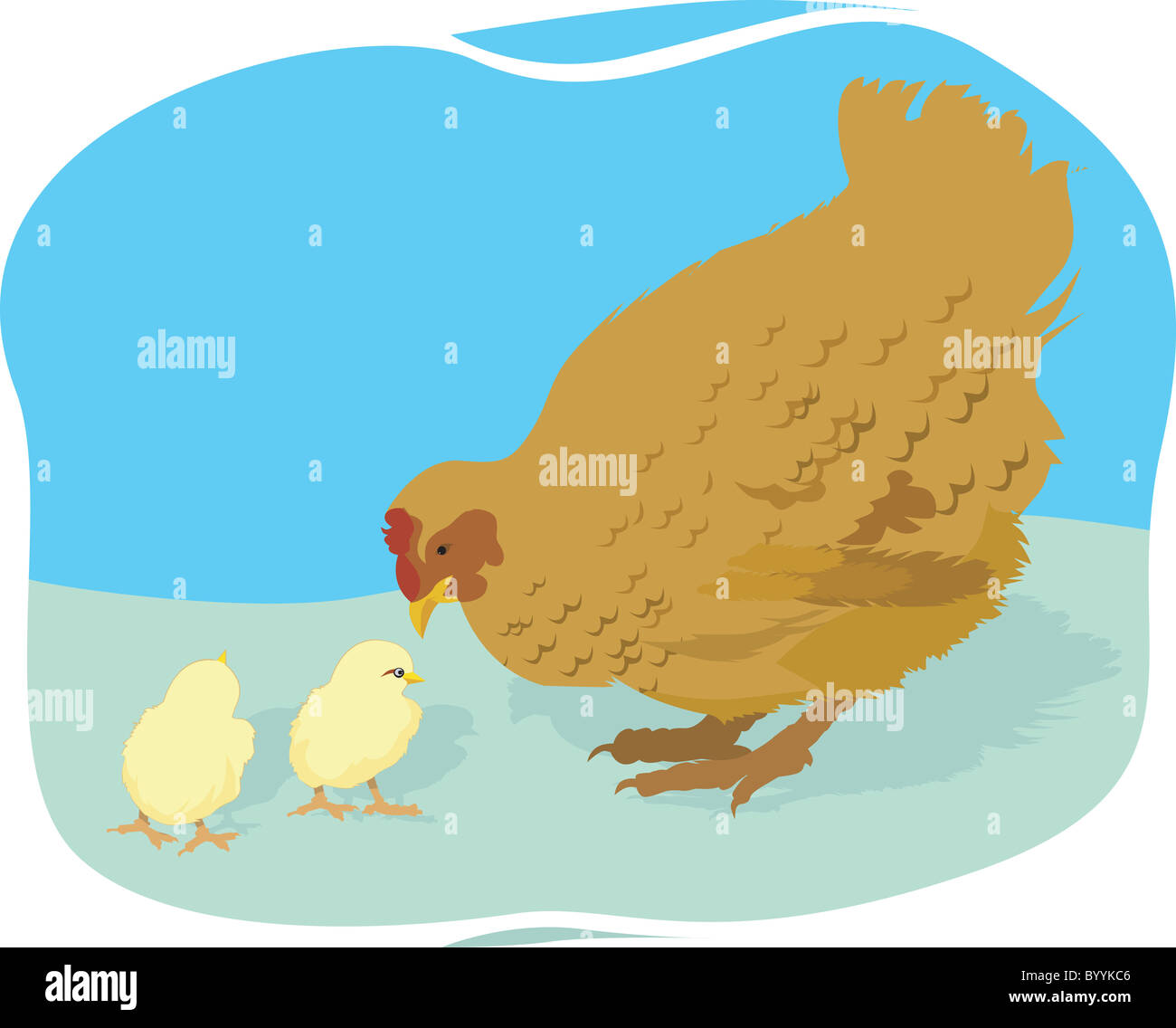 Hen neck hi-res stock photography and images - Alamy