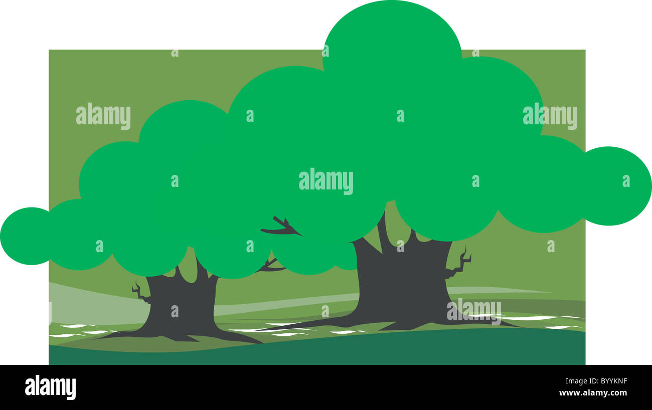 Two illustration of trees hi-res stock photography and images - Alamy