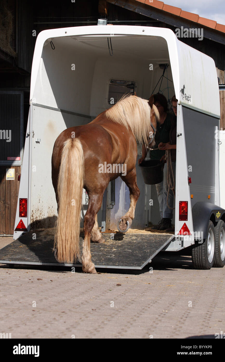 Heavy load horse hi-res stock photography and images - Alamy