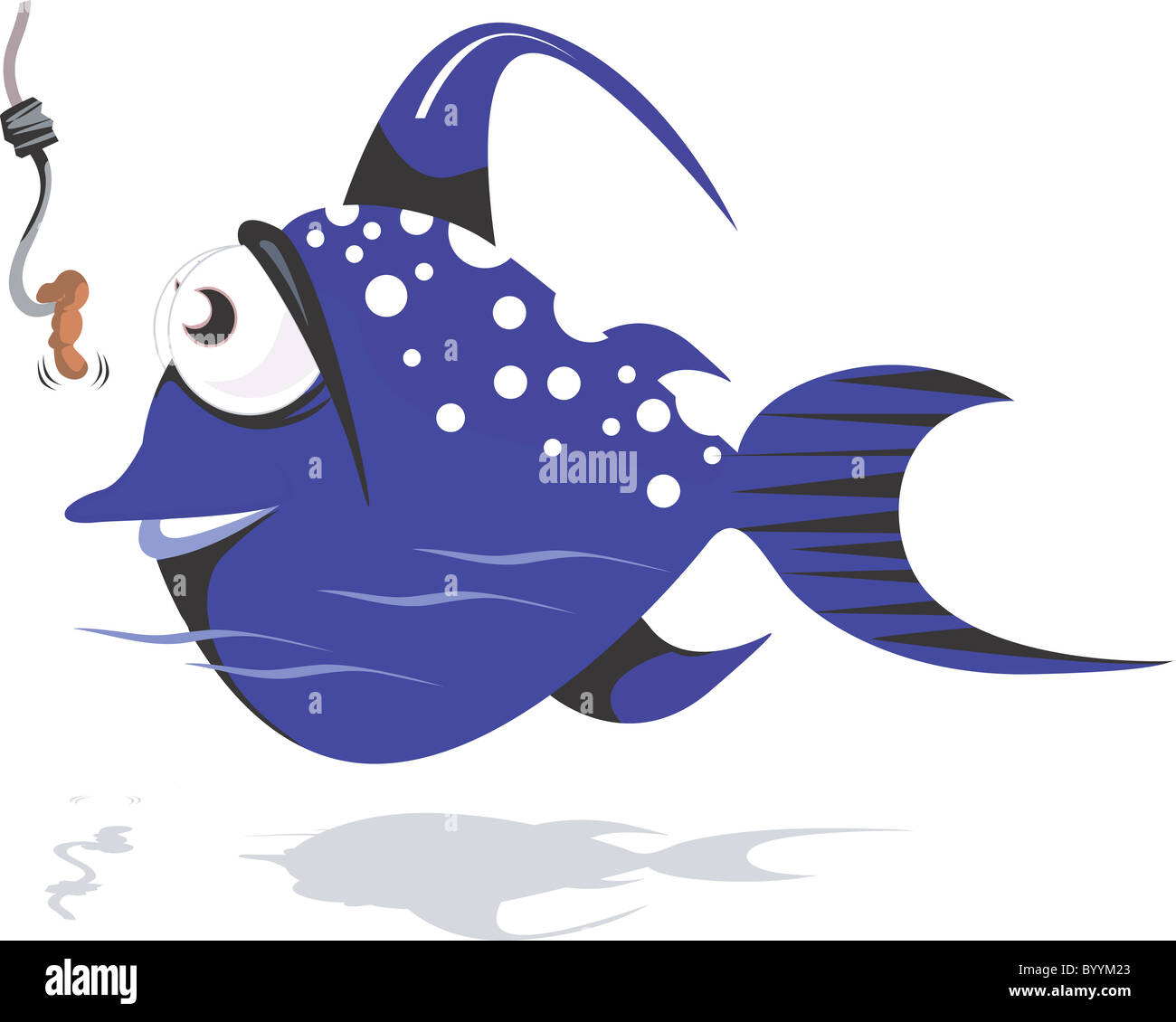 Bluefish swimming hi-res stock photography and images - Alamy