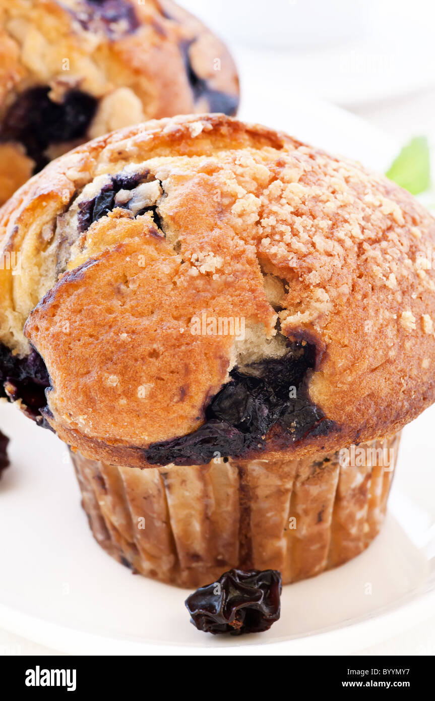 Blueberry muffin as closeup on white background Stock Photo - Alamy