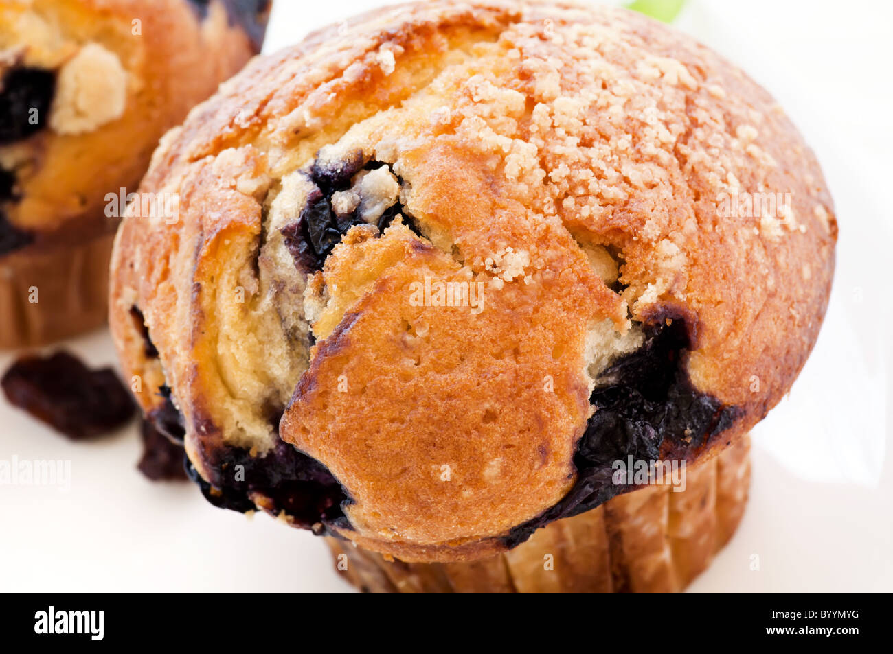 Blueberry muffin as closeup on white background Stock Photo - Alamy