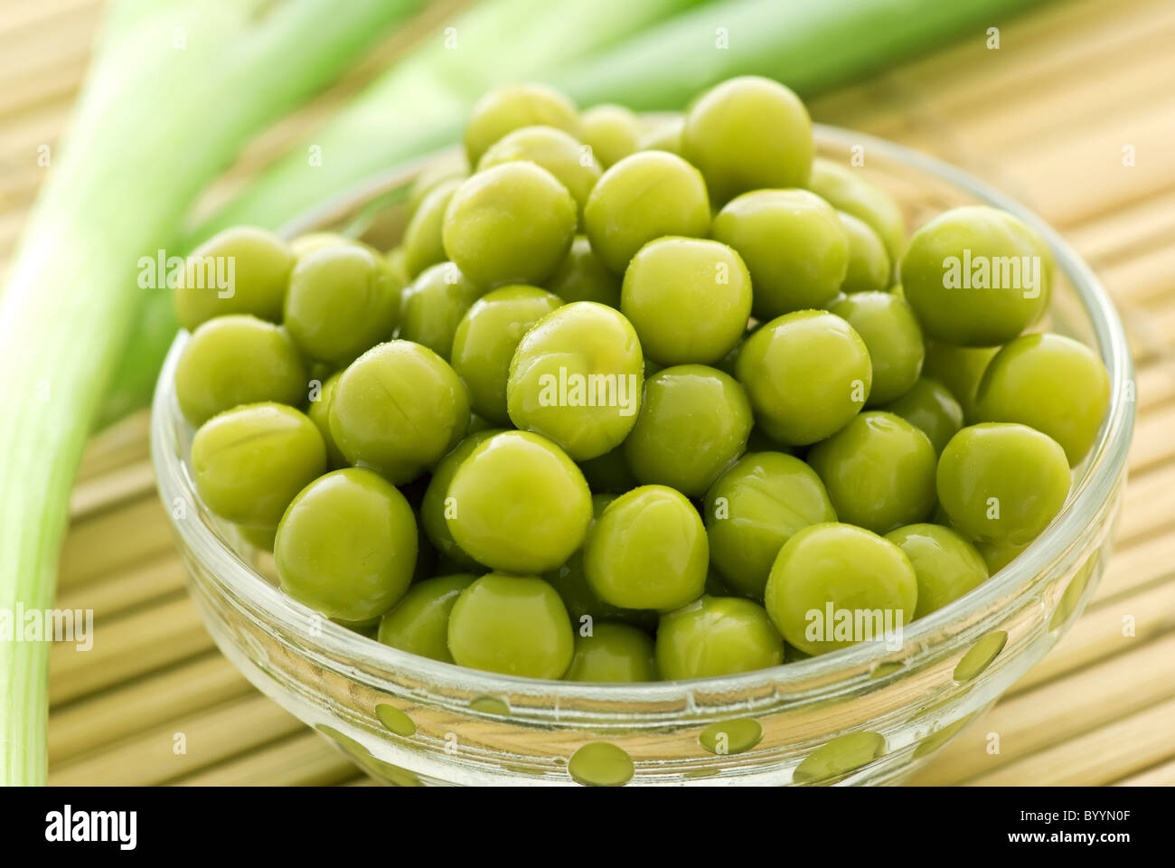 Fodder bowl hi-res stock photography and images - Alamy