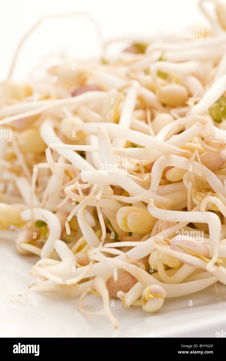 Mung Sprouts High Resolution Stock Photography and Images - Alamy