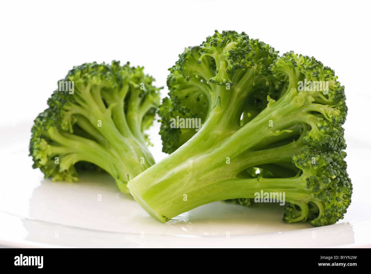 Broccoli floret as closeup on white background Stock Photo - Alamy