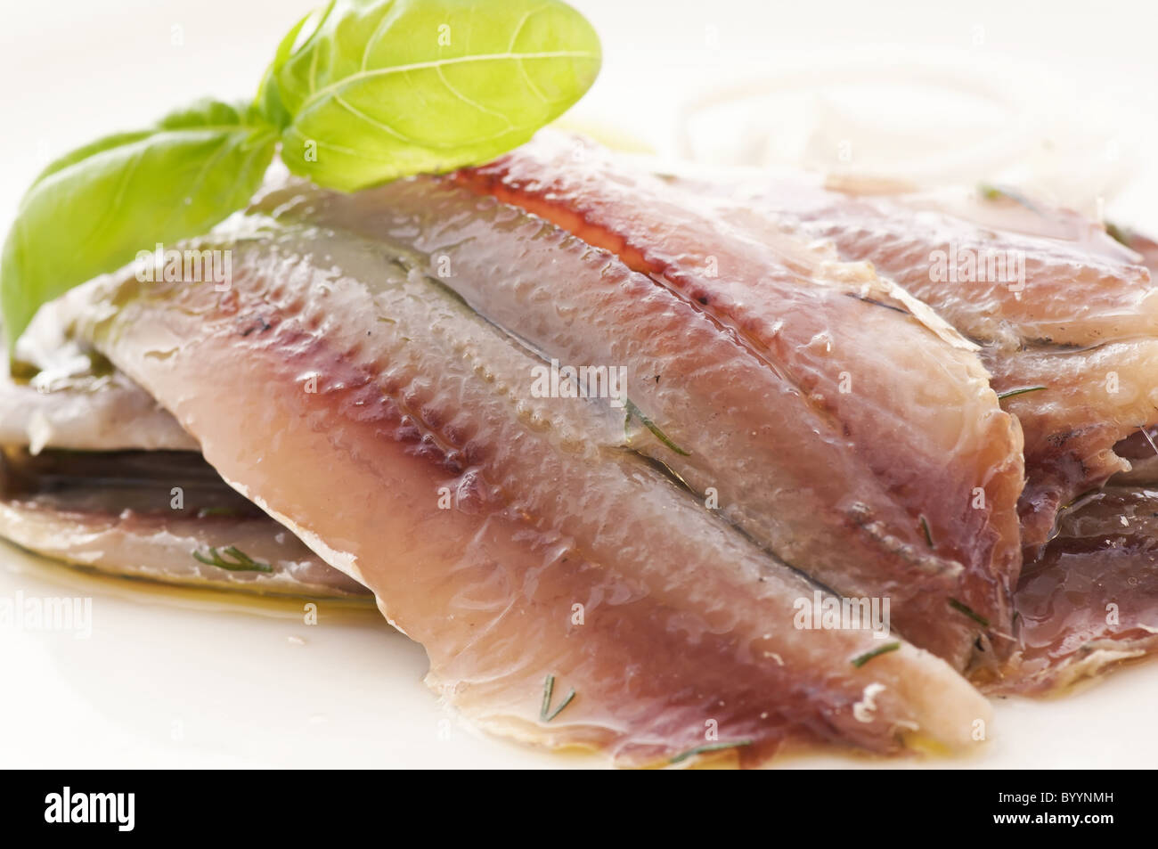 Marinated anchovies as closeup on white background Stock Photo - Alamy