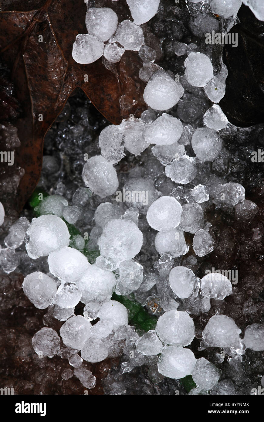 Fallen hailstones hi-res stock photography and images - Alamy