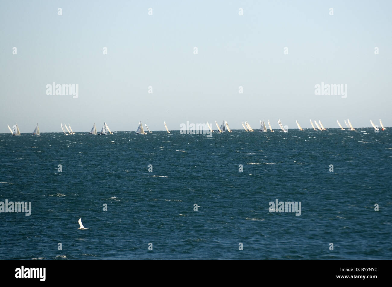 Ocean regatta hi-res stock photography and images - Alamy