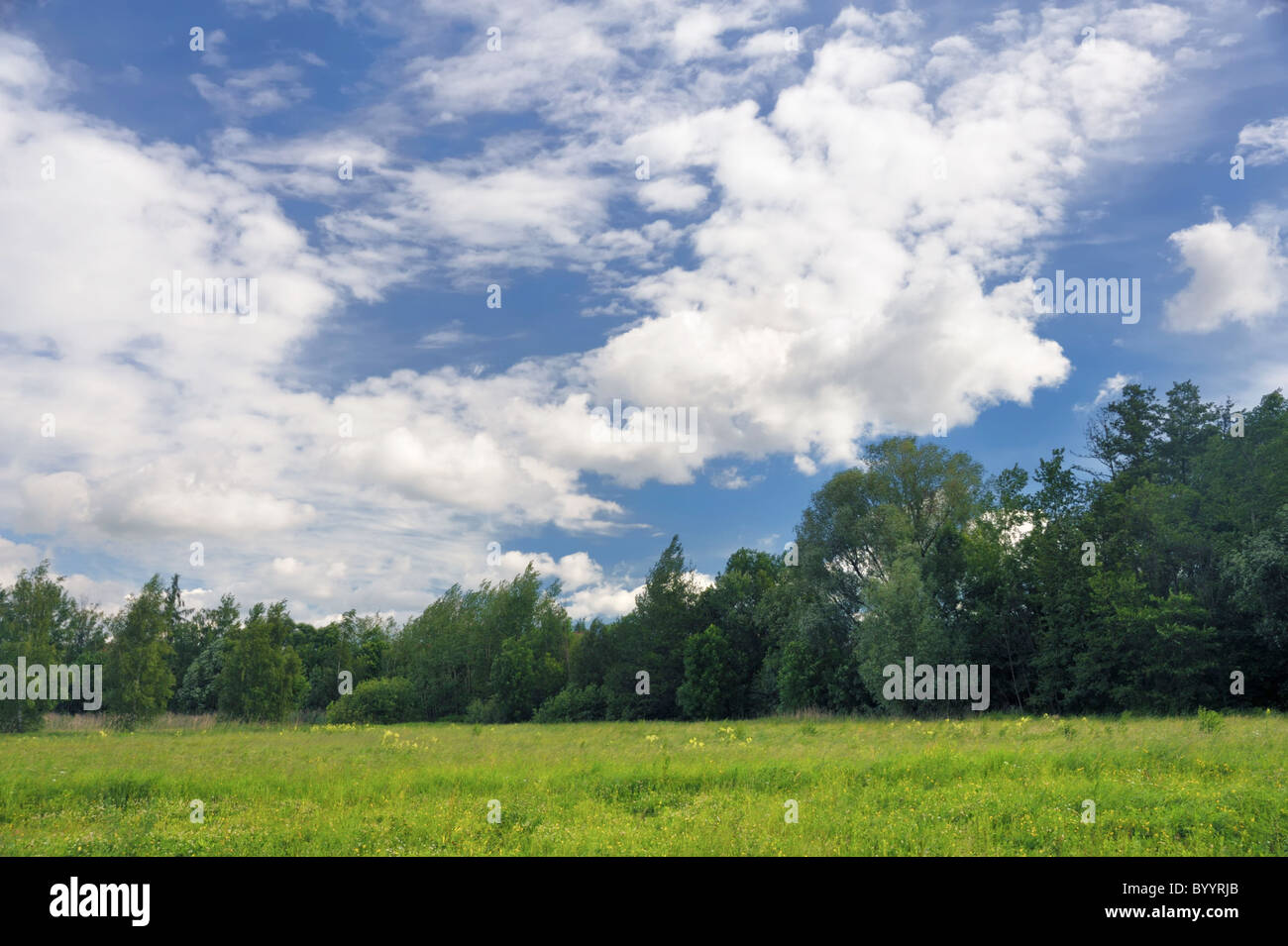 Landscape of green field with trees Stock Photo - Alamy