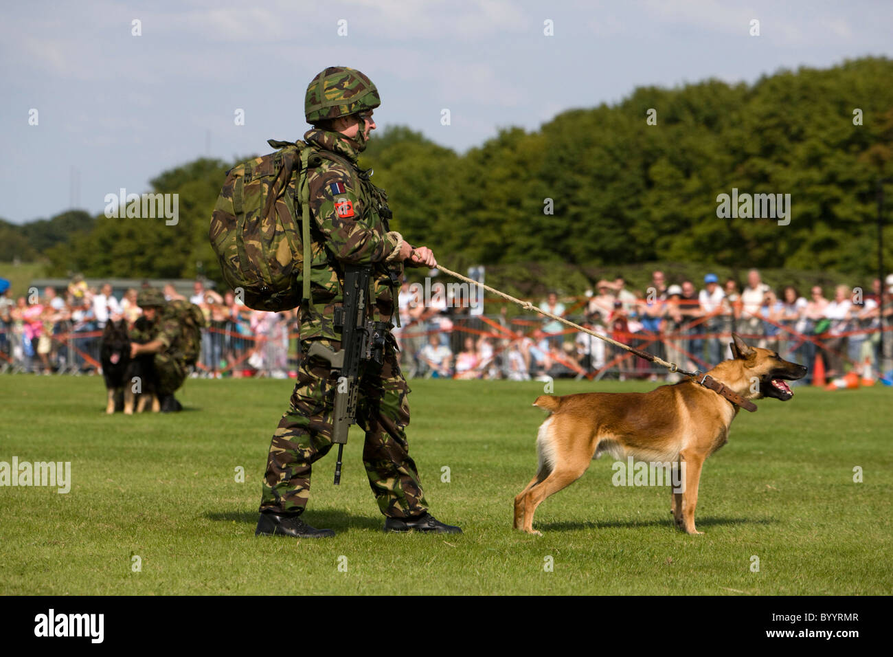 RAF police dogs demonstration of crowd control Stock Photo - Alamy