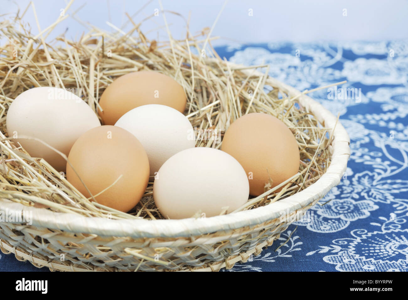 Fresh farm eggs in scuttle with hay - still life Stock Photo - Alamy