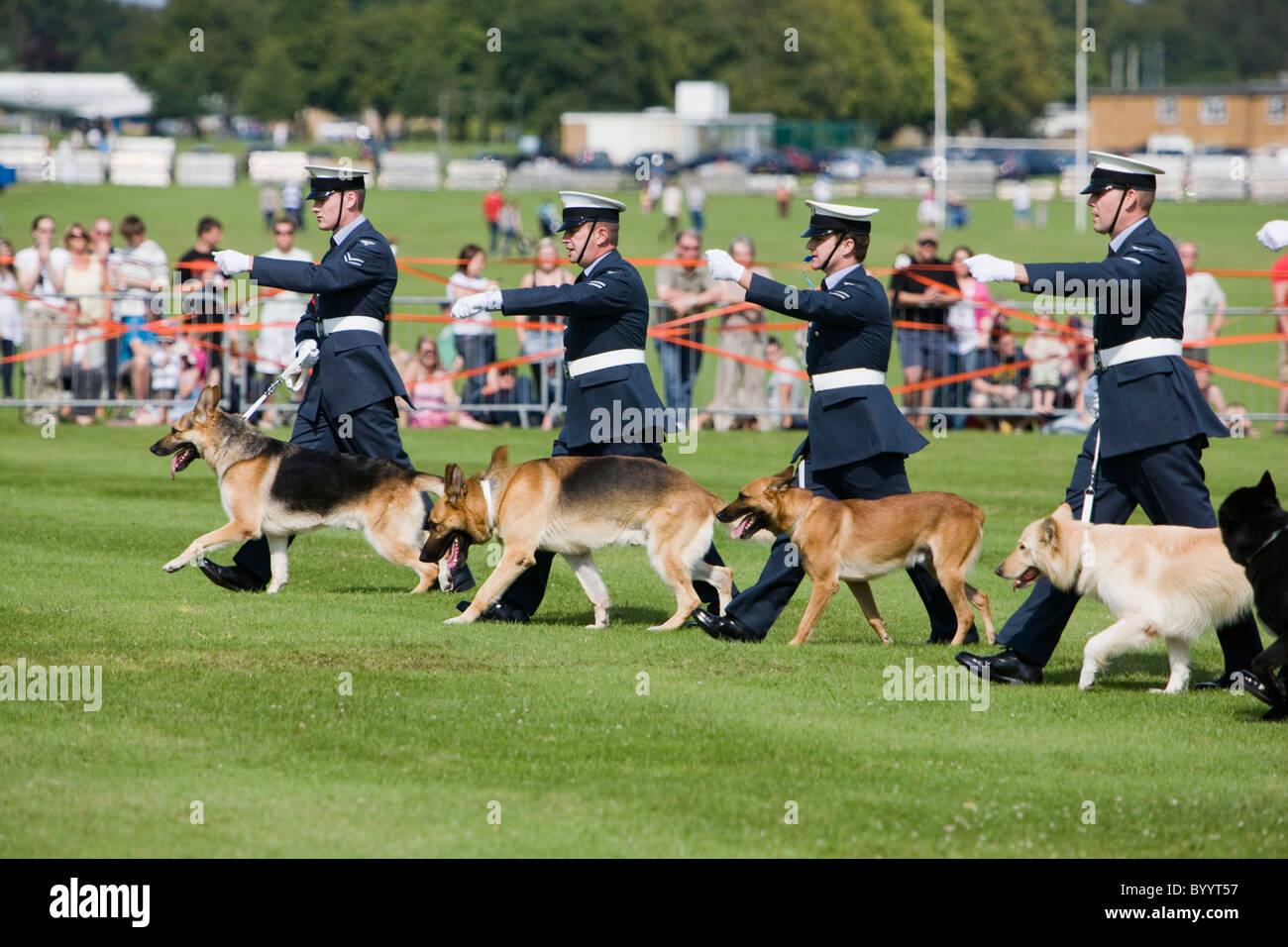 RAF police dogs demonstration of crowd control Stock Photo - Alamy