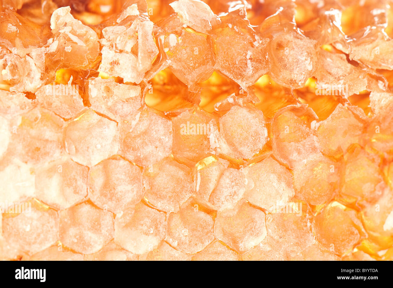 Honeycomb image hi-res stock photography and images - Alamy