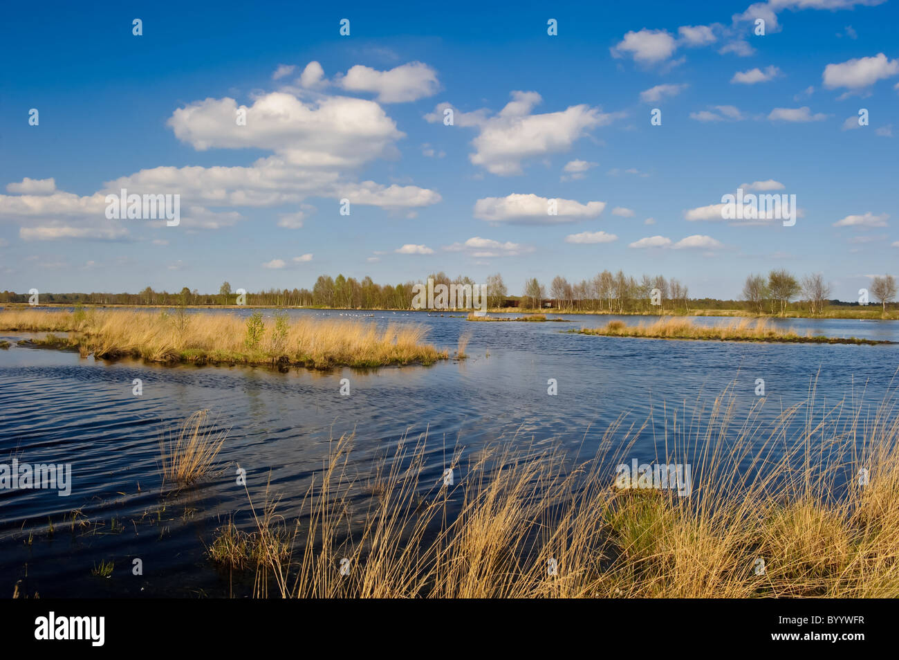 Goldenstedter Moor Bog Goldenstedt in Germany, Spring Stock Photo - Alamy