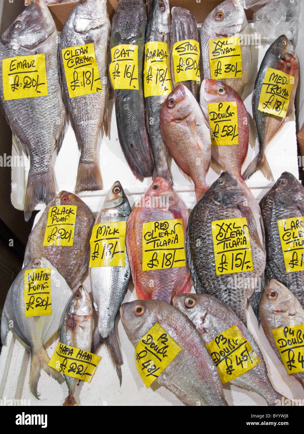 Billingsgate fish market counter, London UK Stock Photo - Alamy