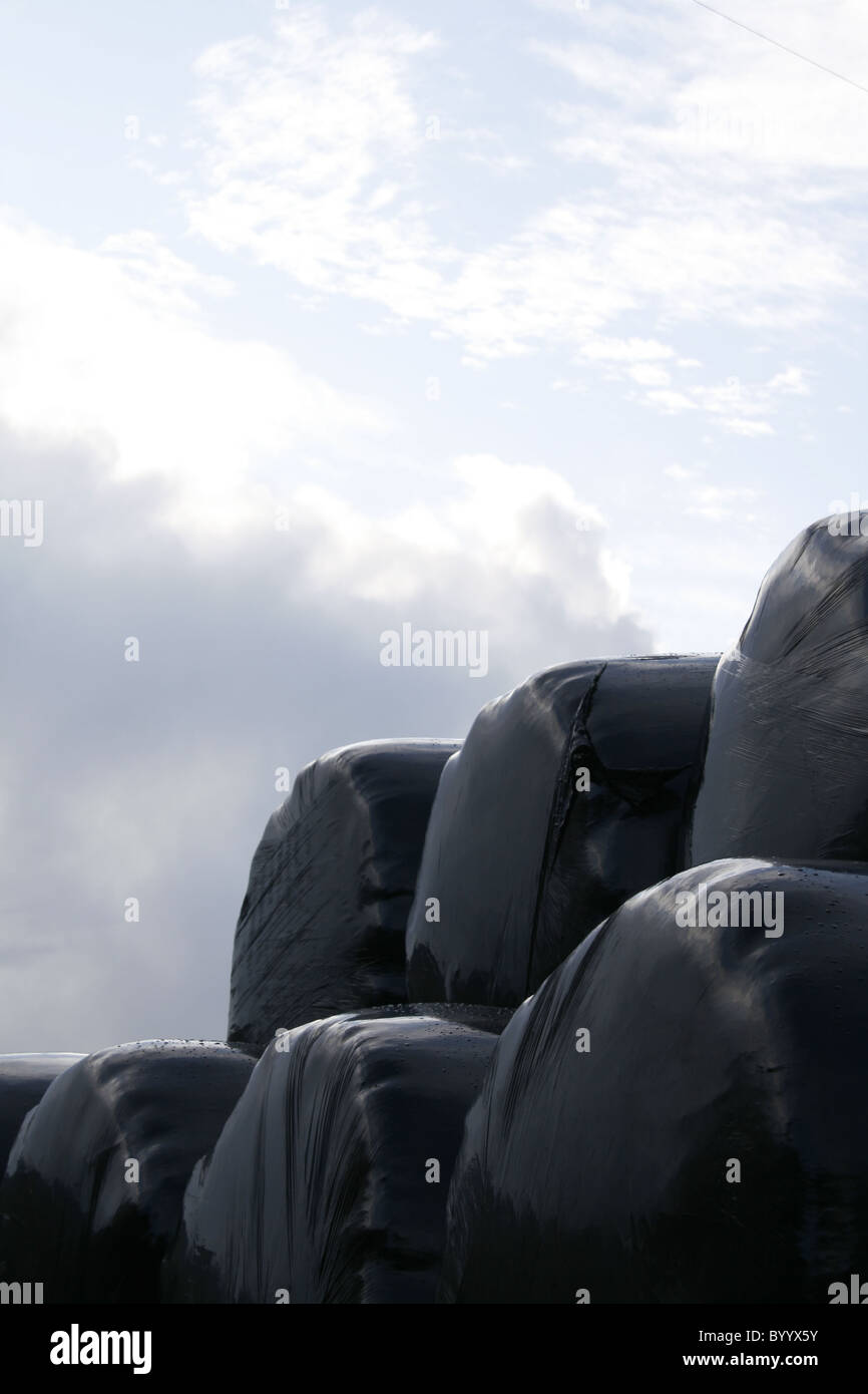 stack of bales in field Stock Photo - Alamy
