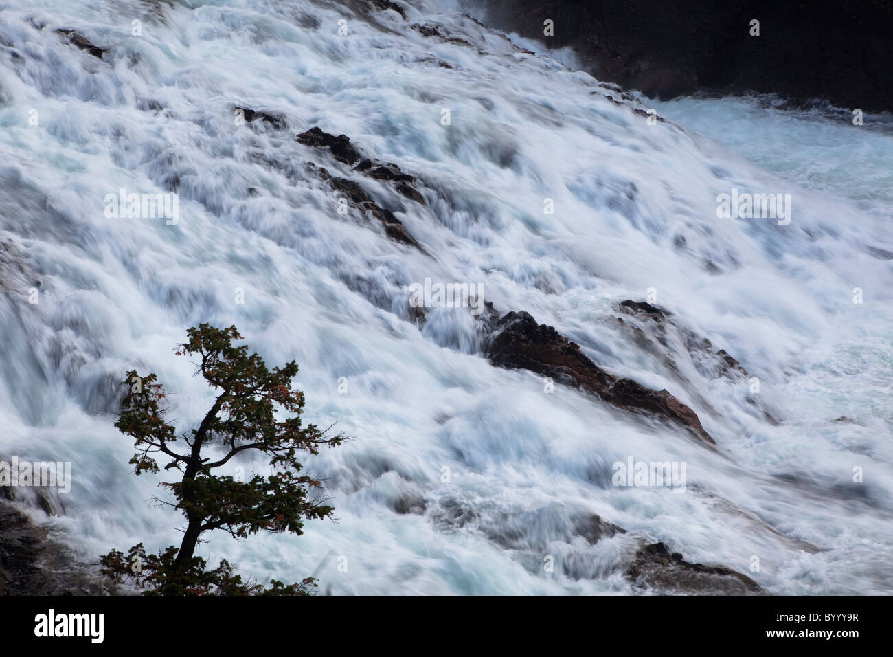 Roaring rapids of Bow Falls, Bow River, Banff National Park, Alberta, Canada Stock Photo - Alamy