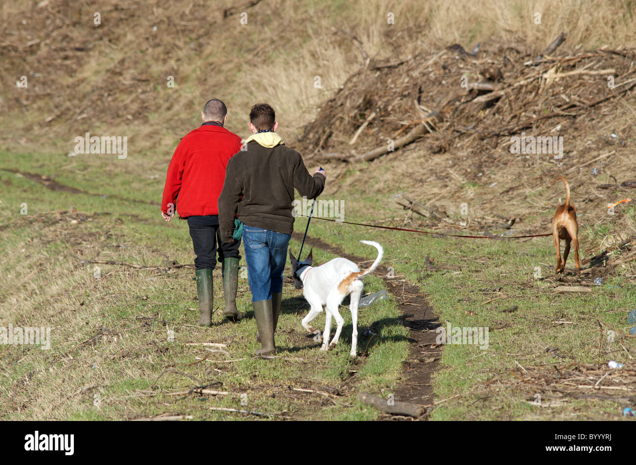 Two men walking dogs hi-res stock photography and images - Alamy