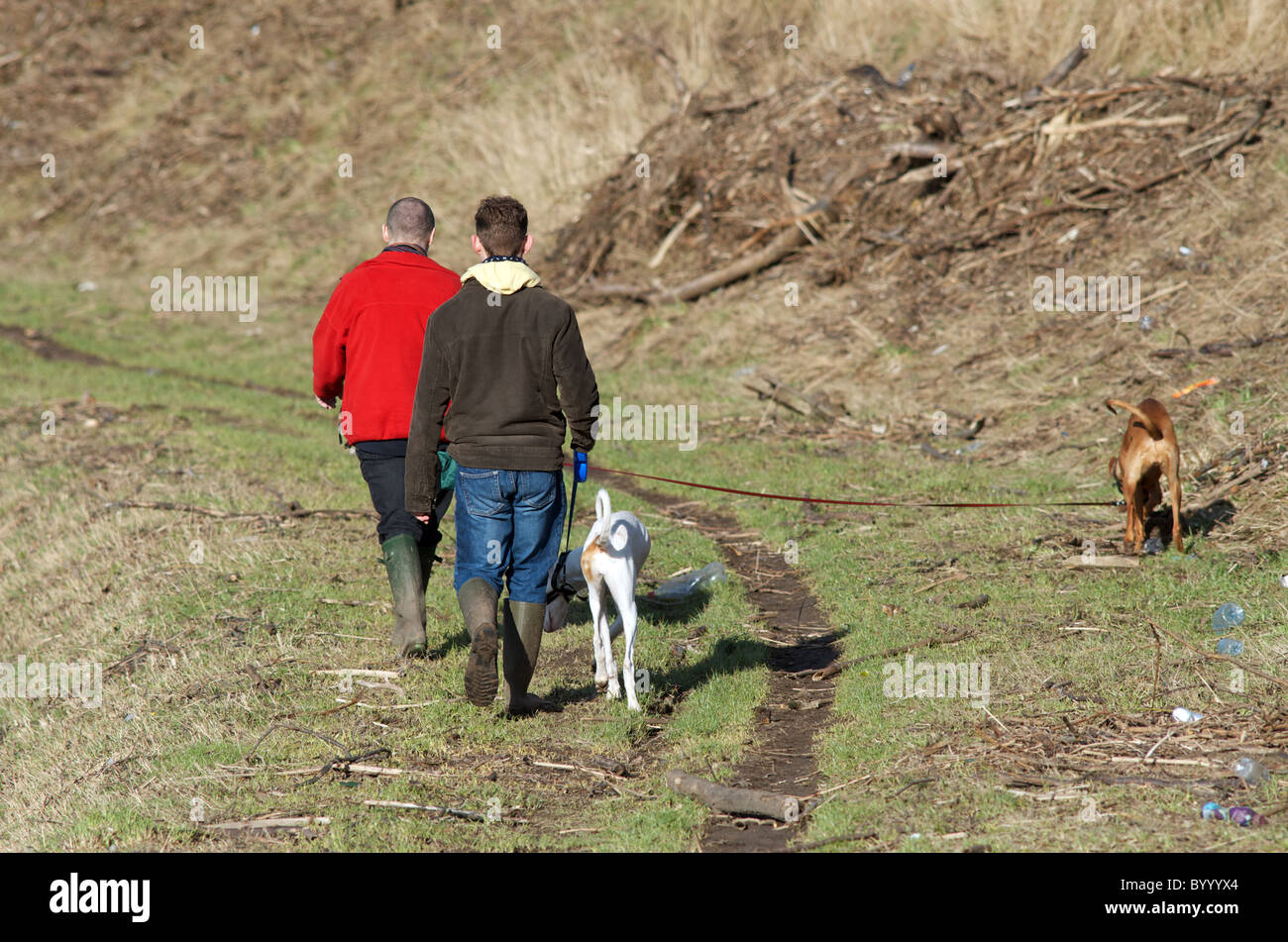 Two men walking dogs hi-res stock photography and images - Alamy
