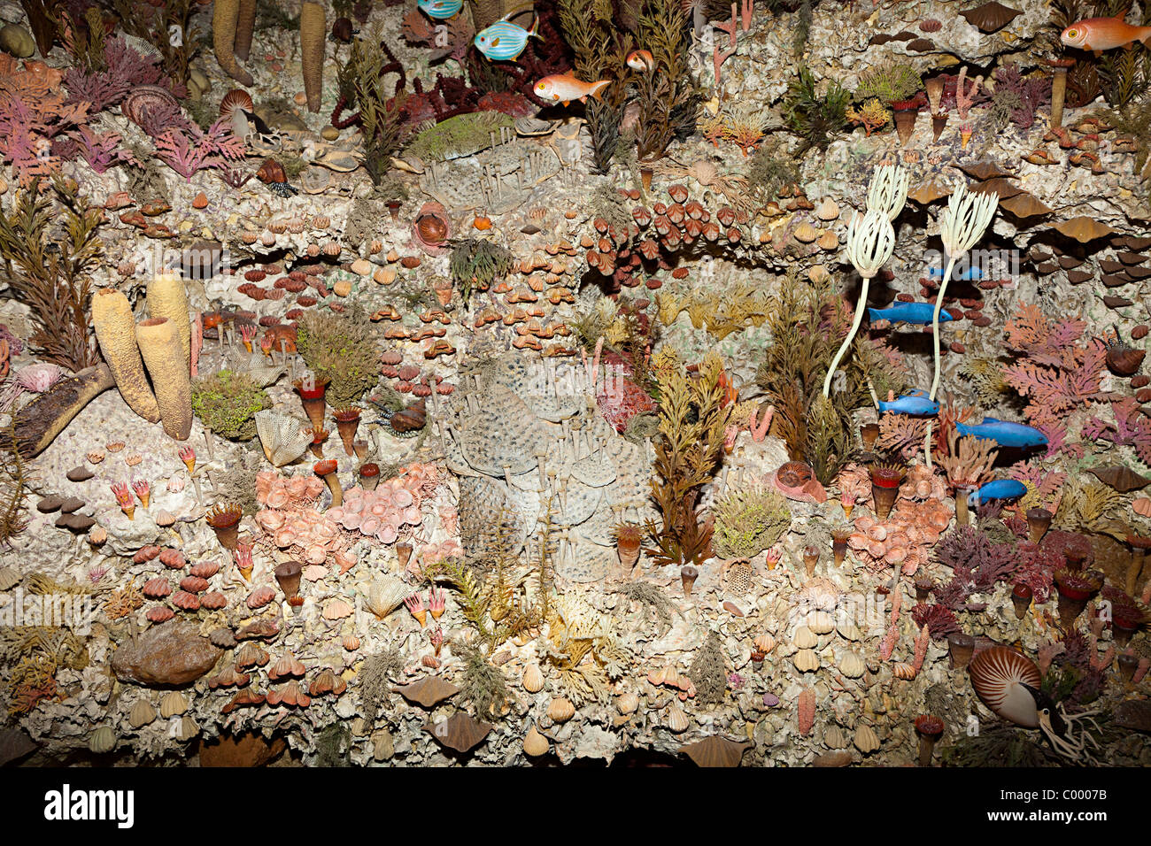 Model of sea life living in the Permian era Permian Basin Petroleum ...