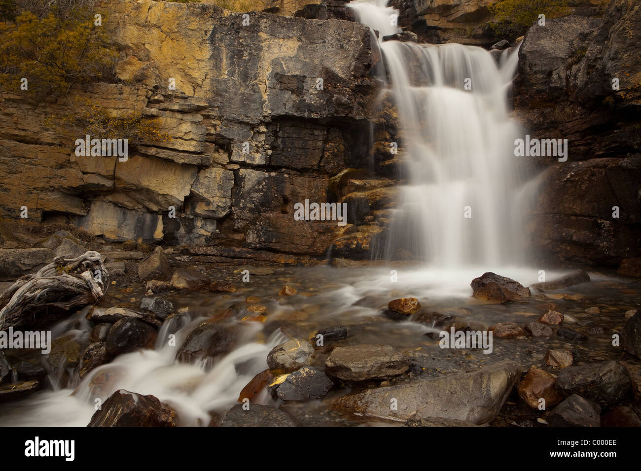 Tangle Falls, Jasper National Park, Alberta Canada Stock Photo - Alamy