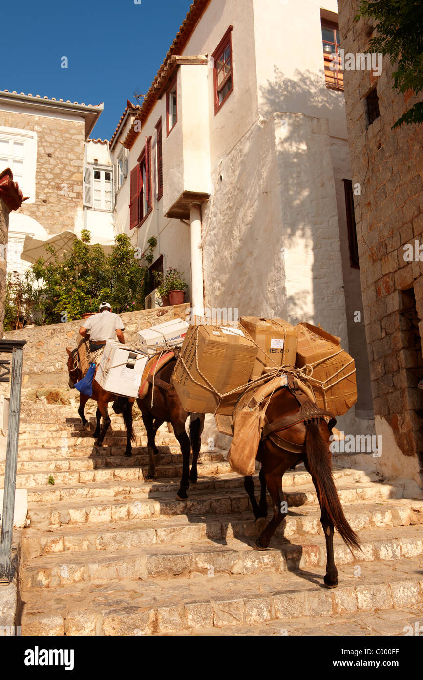 Pack Ponies climbing the steps on Hydra, Greek Saronic Islands Stock ...
