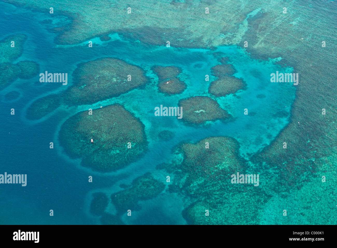 Aerial of reefs off Vieques Island, Puerto Rico Stock Photo - Alamy