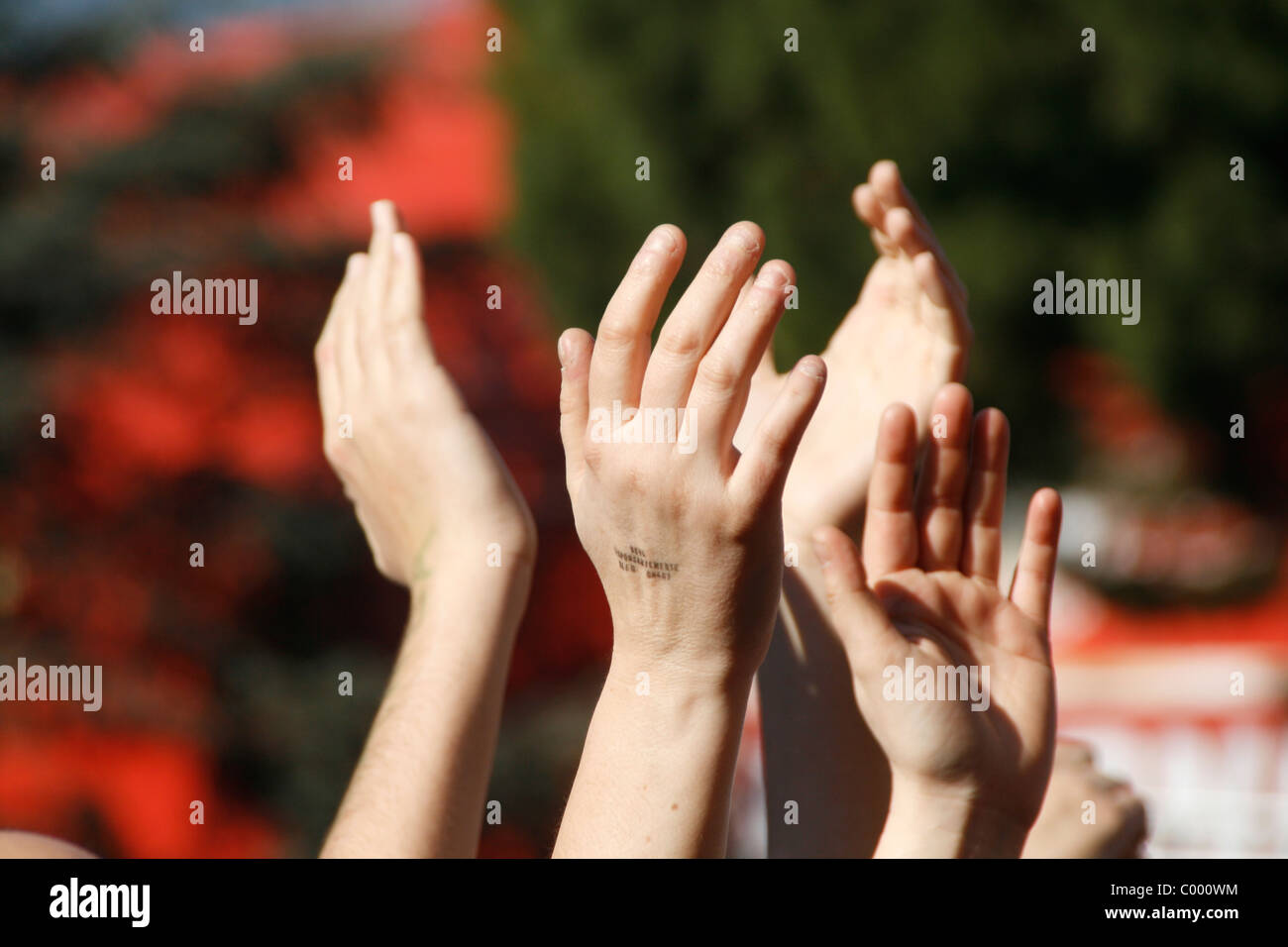 people with raised hands at outdoors event Stock Photo - Alamy