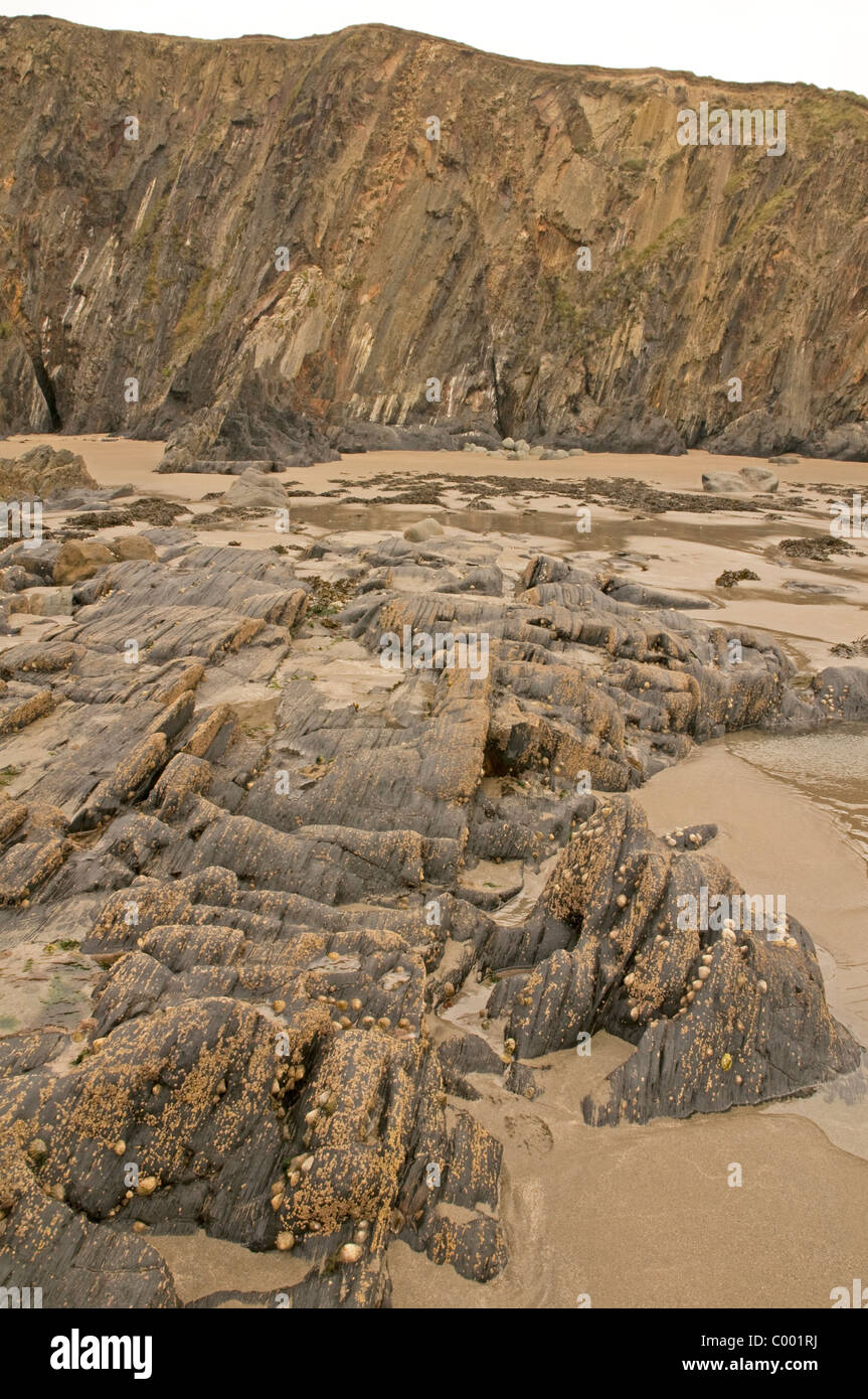 Beach scene on the rugged Pembrokeshire coast at Traeth Llyfn Stock ...