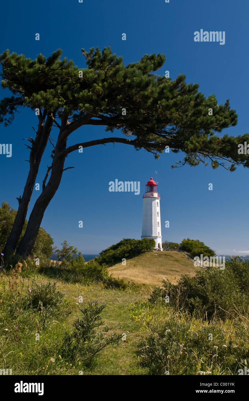 the famous lighthouse on island hiddensee, baltic sea, germany Stock ...