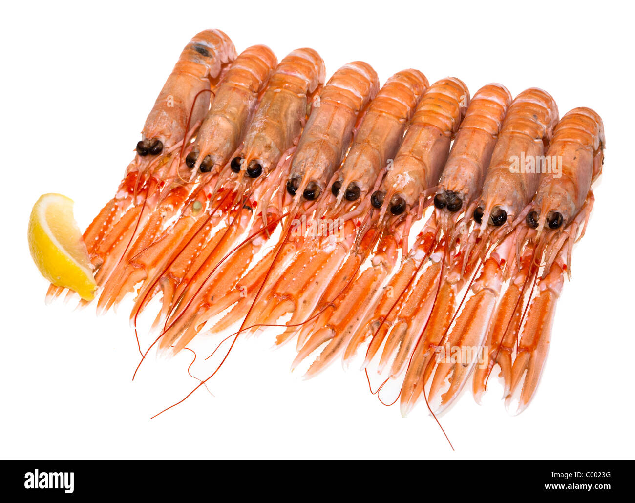 Prepared seafood Cut Out Stock Images & Pictures - Alamy