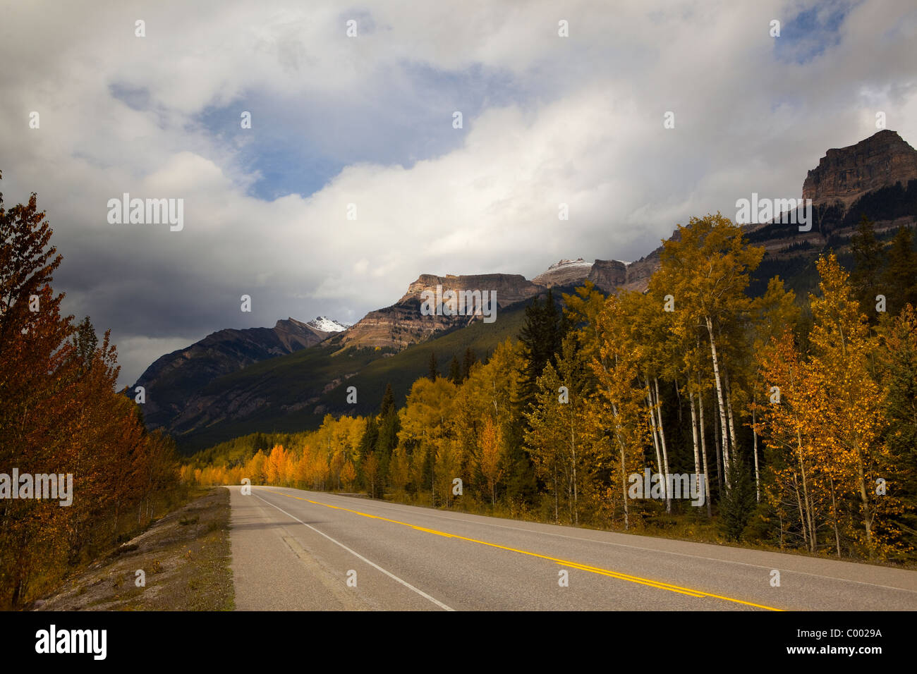 Highway 93, Icefields Parkway through Jasper national Park, Alberta ...